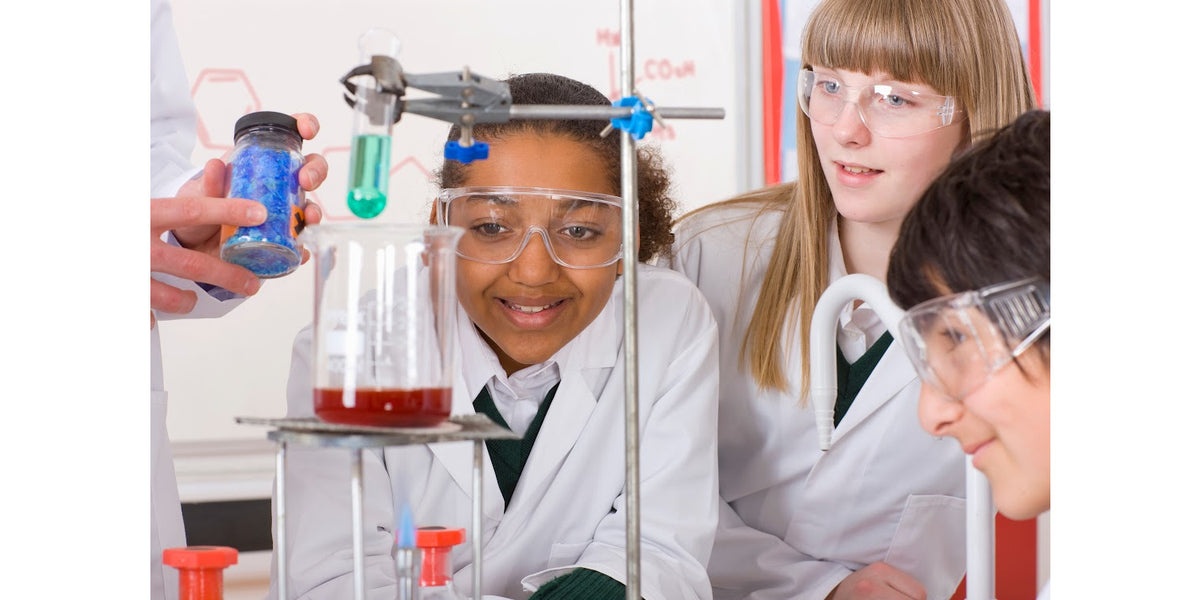 Fueling Your Child's Curiosity and Creativity – DragonHorsePublishing